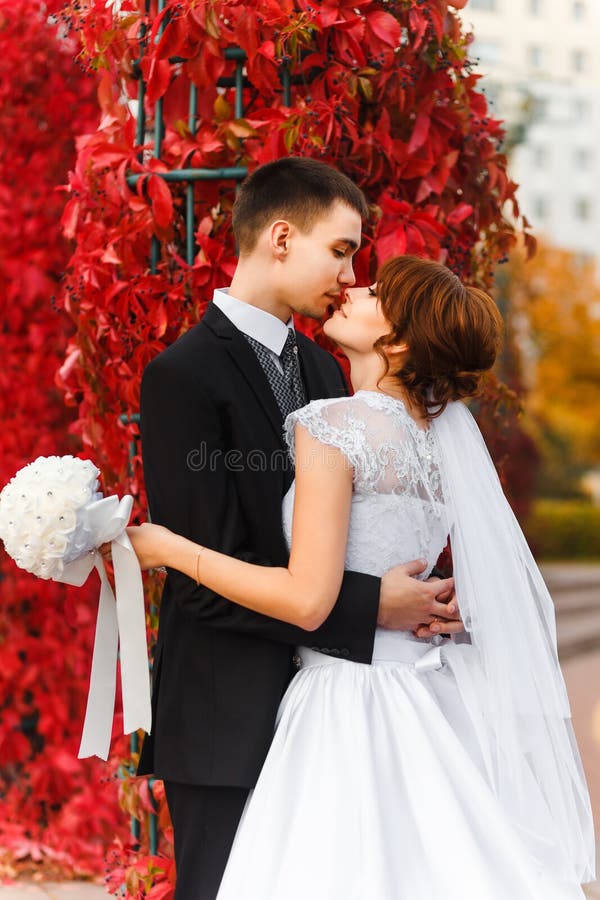 Bride and Groom hugging stock photo. Image of bride, leaves - 80279380