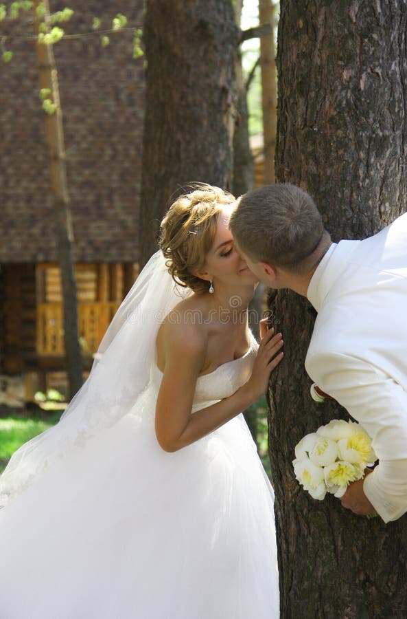 Bride and groom, kiss stock image. Image of couple, husband - 31824595