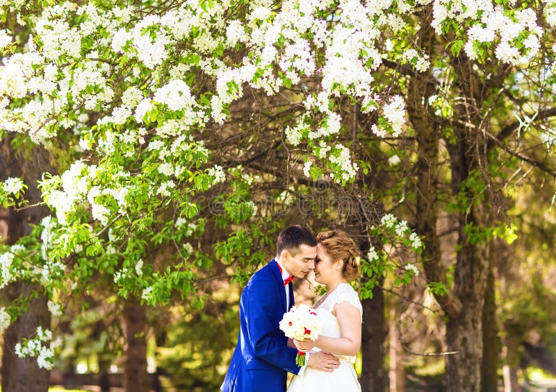 The Bride and Groom Kissing in the Spring Nature with Blooming Trees ...