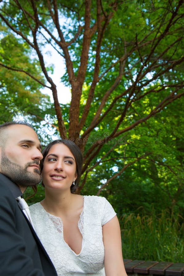 Bride and Groom Marriage Concept Stock Photo - Image of face, hands ...