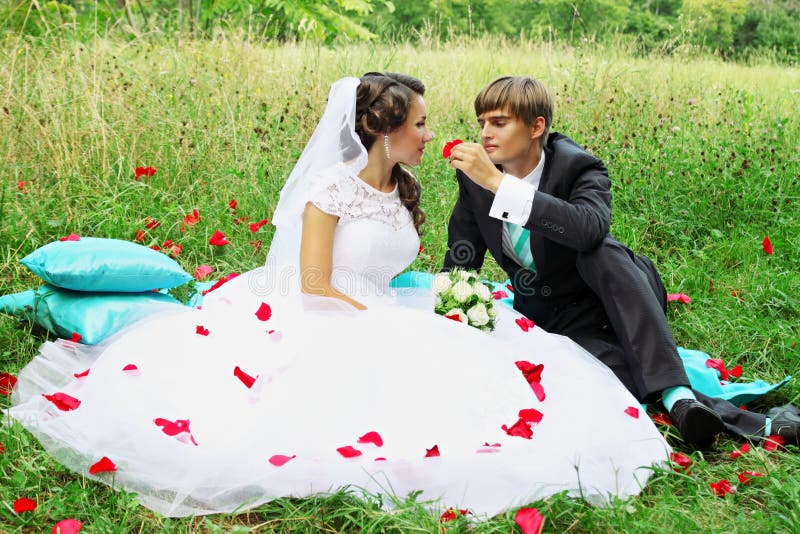 Groom Red Rose Buttonhole Wedding Stock Image - Image of occassion ...