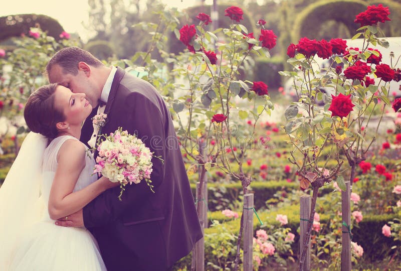 Bride and Groom with Roses in Background Stock Image - Image of beauty ...