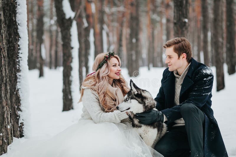 Bride and Groom with Siberian Husky are Posed on Background of Snowy ...