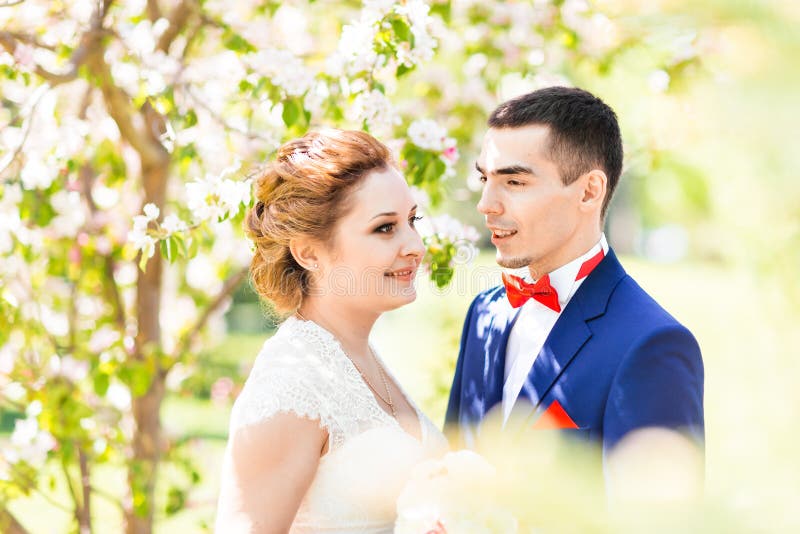 The Bride and Groom in the Spring Nature with Blooming Trees Stock ...