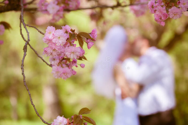 Bride and Groom on a Wedding Day Stock Image - Image of bouquet ...