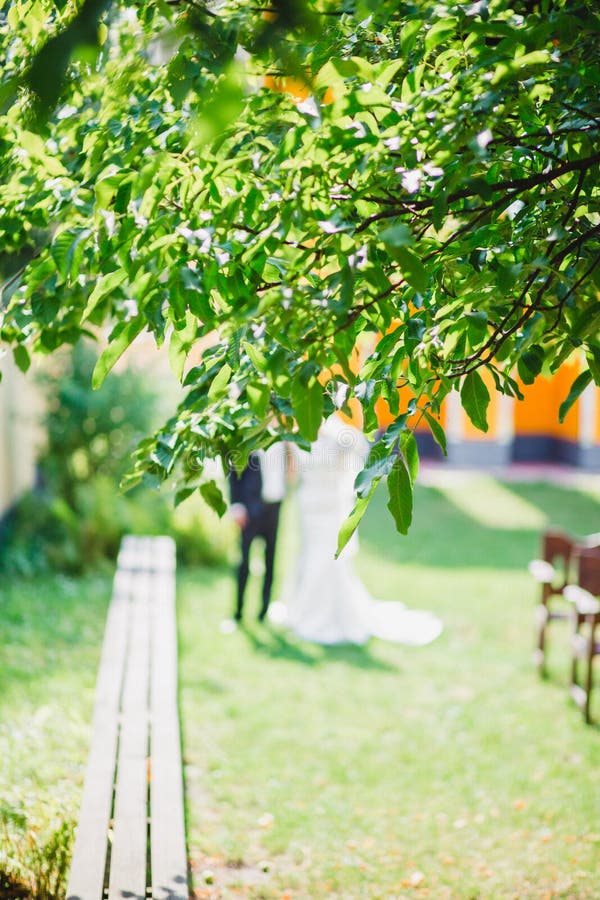 Bride And Groom At Wedding Day Walking Outdoors On Spring Nature Stock ...
