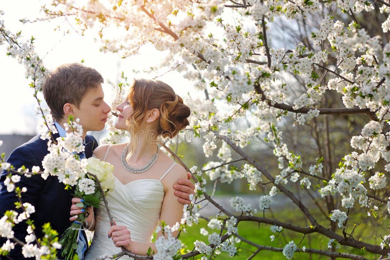 Bride and Groom at the Wedding Kiss in Spring Walk Park Stock Image ...