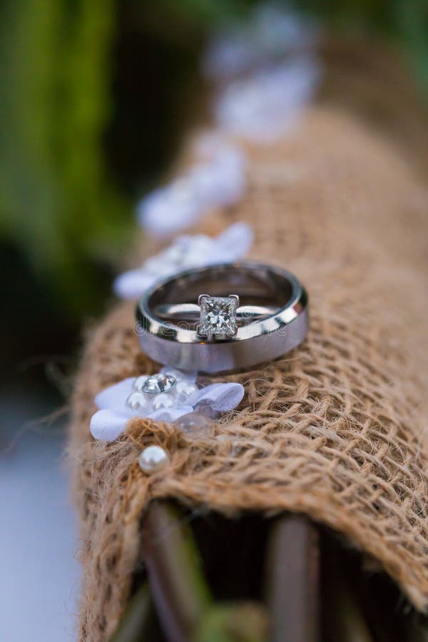 Bride and Groom Wedding Rings Stock Photo - Image of fashion, wedding ...