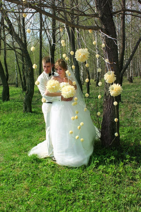 Bride and groom stock image. Image of marry, husband - 31824641