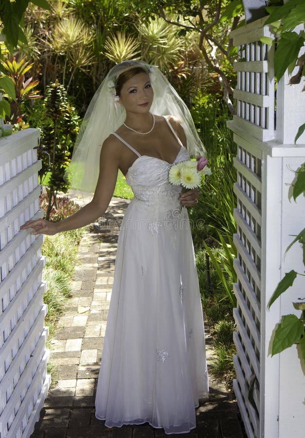 Bride on her wedding day stock image. Image of wedding - 34147369