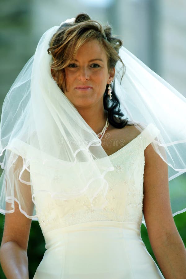 Bride in her wedding dress stock photo. Image of woman - 5875754