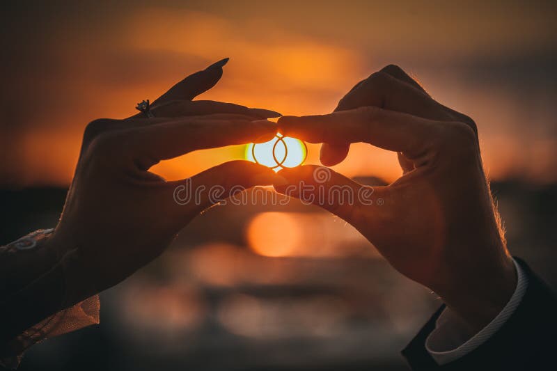 Bride and Groom Holding Wedding Rings Stock Photo - Image of groom ...