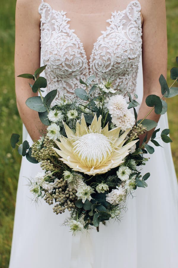 The Bride Holds an Exotic Wedding Bouquet of White Protea Stock Image ...