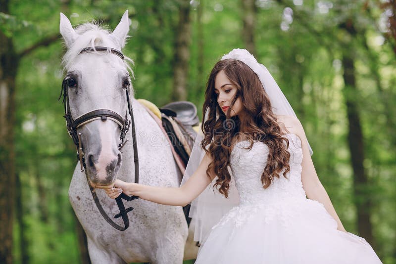Bride with horse stock photo. Image of curl, caucasian - 130408128