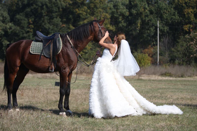 Bride and a horse stock photo. Image of animal, animals - 34837990
