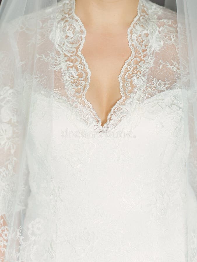 Bride in Lace Dress stock photo. Image of posing, model - 48024954