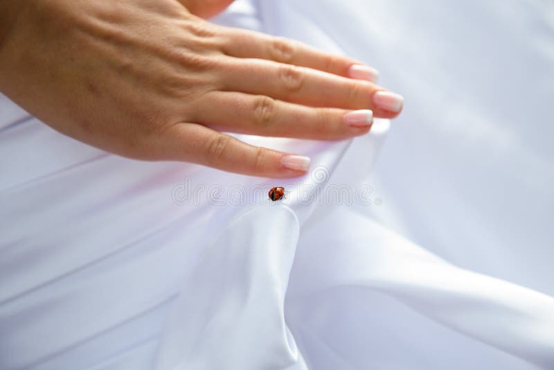 Bride with Ladybug on Hand stock image. Image of summer - 59746209