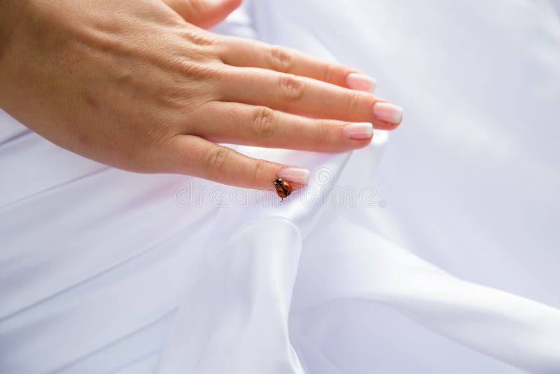 Bride with Ladybug on Hand stock image. Image of pretty - 59746231