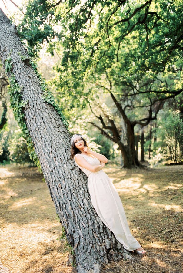 Bride Leaned Against a Sloped Tree in the Park Stock Photo - Image of ...