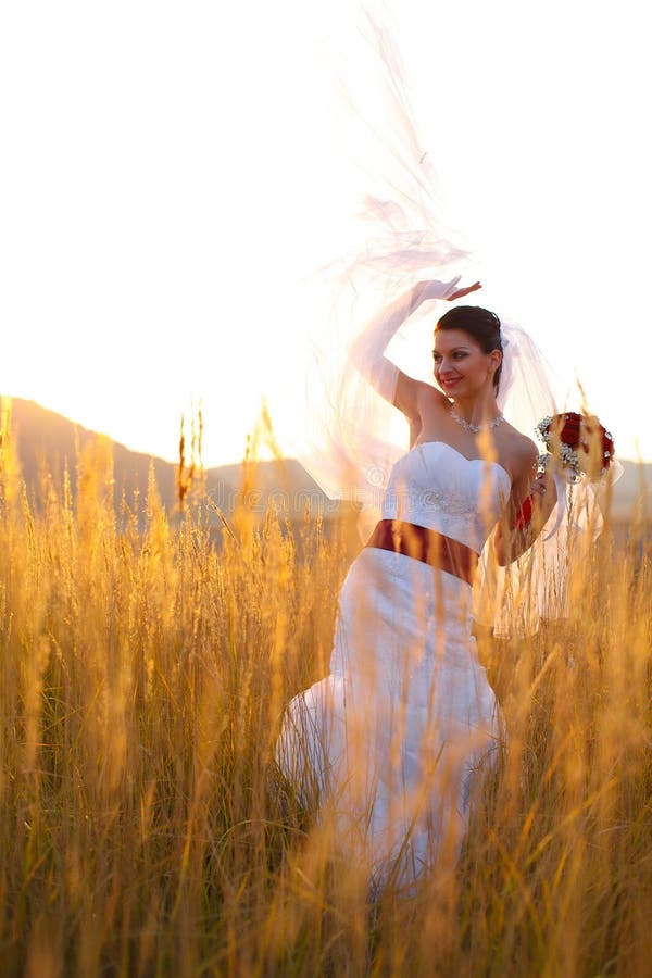 Bride Lifts a Veil Up and Sun Illuminates it Stock Image - Image of ...