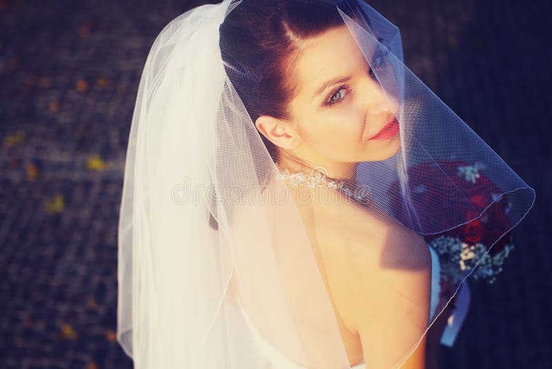 Bride Looks Over Her Shoulder through a Veil Stock Photo - Image of ...