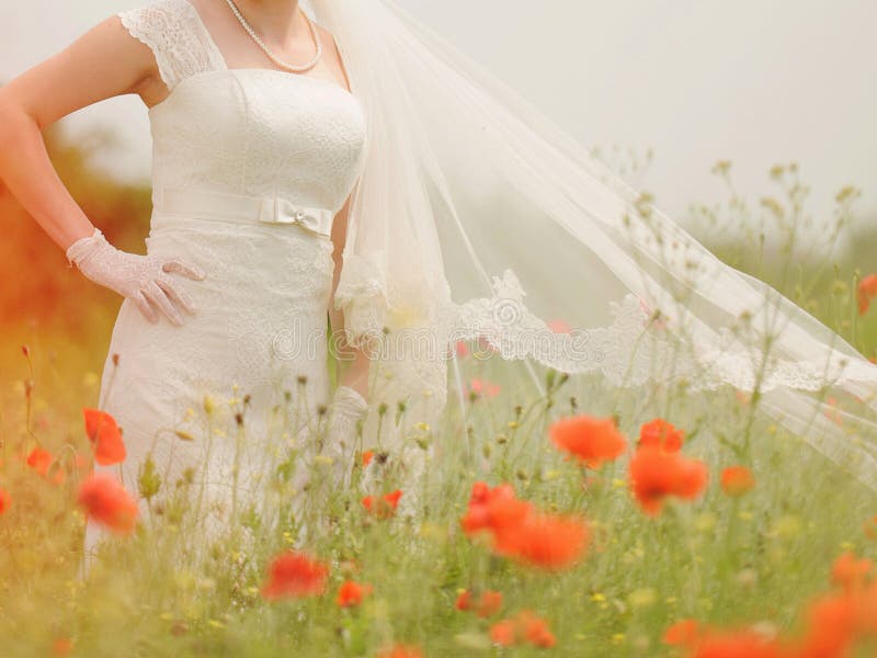Bride in Poppies stock image. Image of female, newlywed - 42525963