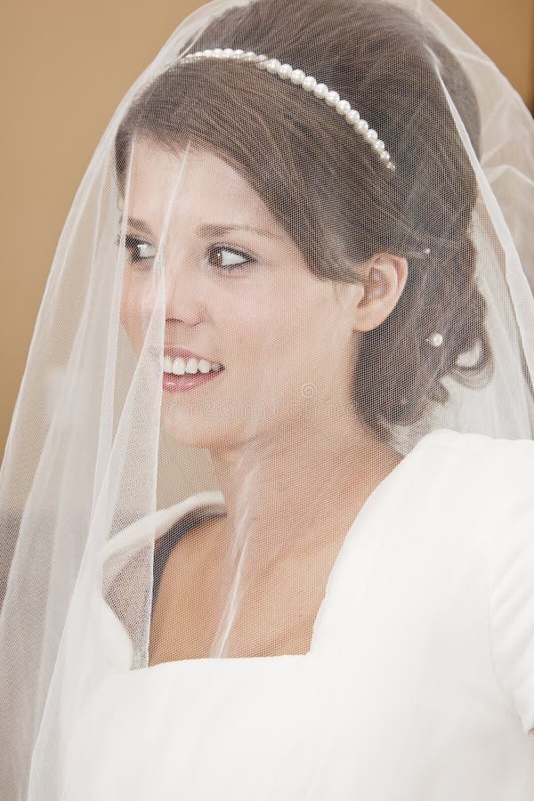 Bride portrait stock image. Image of afroamerican, dress - 27127025