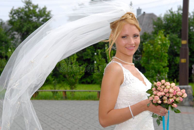 Bride portrait stock photo. Image of portrait, hope, married - 2939894