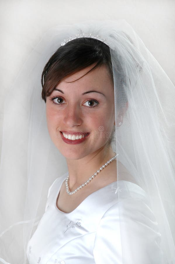 Bride Portrait Veil stock image. Image of corsett, hold - 1273717