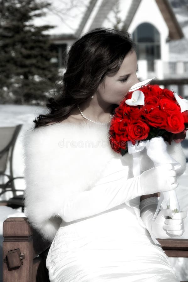 Bride and Red Roses stock photo. Image of bridal, life - 5476502