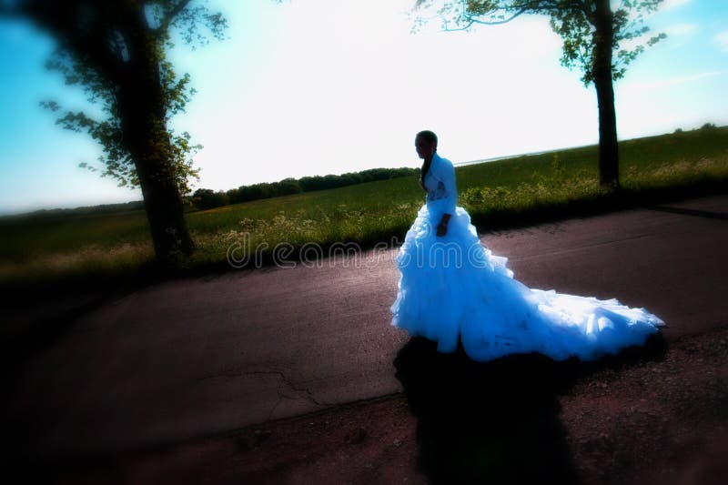 A Groom and a Bride stock photo. Image of back, suit - 45420830