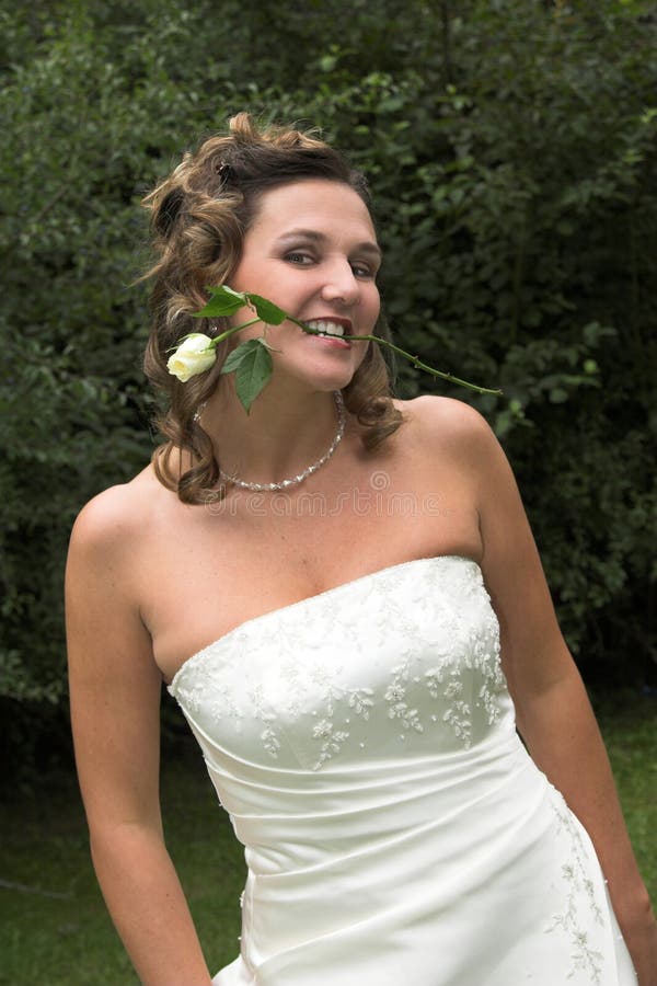 Bride with rose stock photo. Image of white, rose, beauty - 1159552