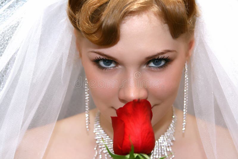 Bride with Lavender stock photo. Image of bride, portrait - 14167716