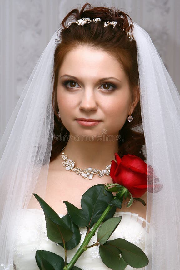 Bride with rose stock photo. Image of hairstyle, european - 9213014