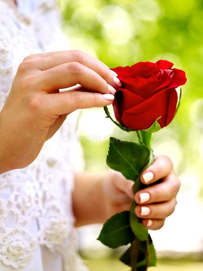 Bride with rose bouquet stock image. Image of white, love - 37784245
