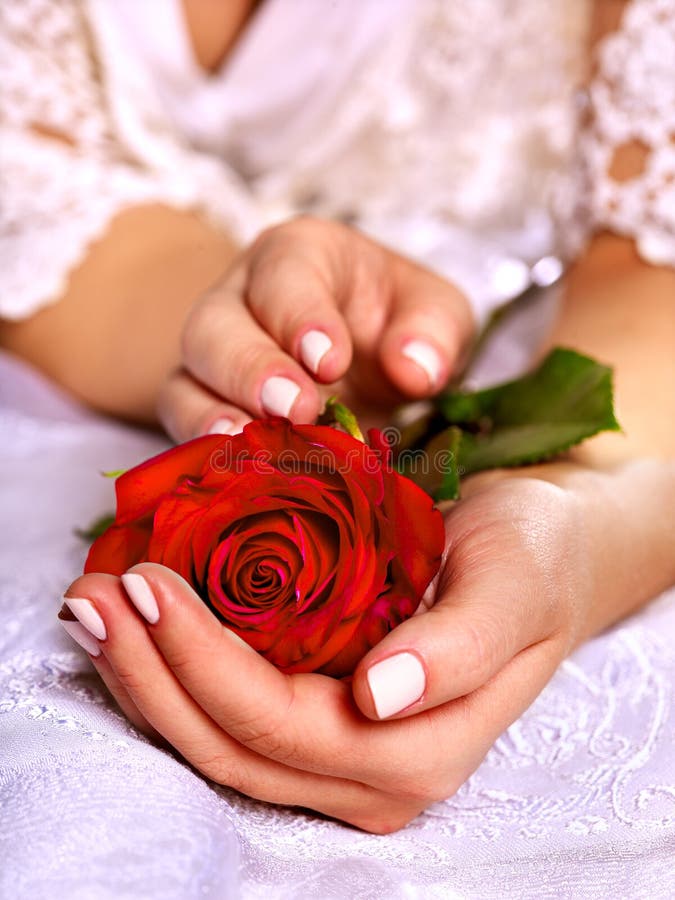 Bride with rose bouquet stock photo. Image of woman, female - 45148694