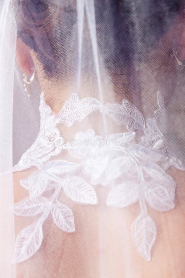 Bride s back stock photo. Image of lace, adult, beauty - 20713776