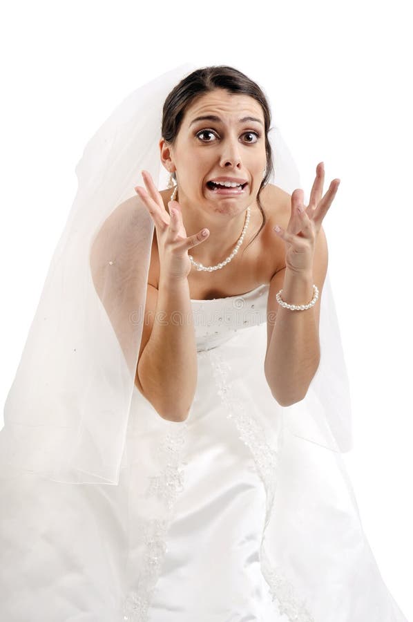 Busy bride stock image. Image of female, marriage, busy - 15291489