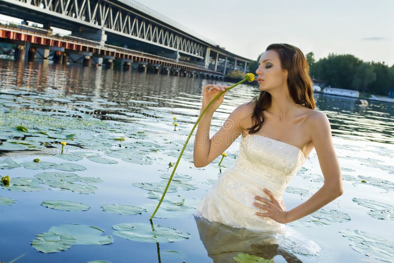 Bride s portrait in water stock photo. Image of married - 11236820