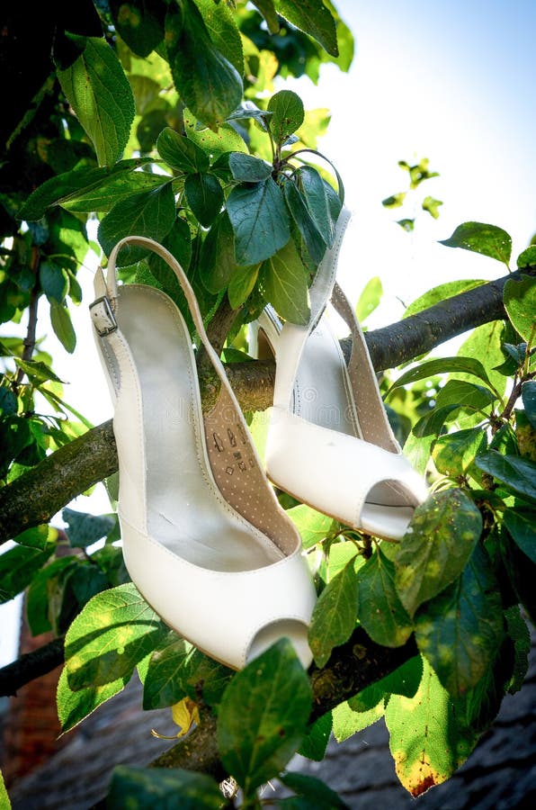 Shoes on a tree stock image. Image of children, spring - 72362071