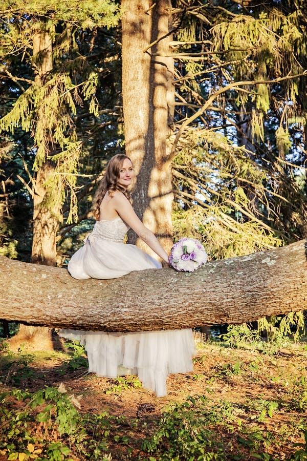 Bride sitting in a tree stock image. Image of green - 102051453