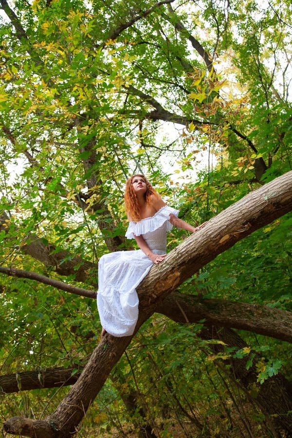 Bride Sitting on a Tree Branch Stock Photo - Image of autumn, face ...