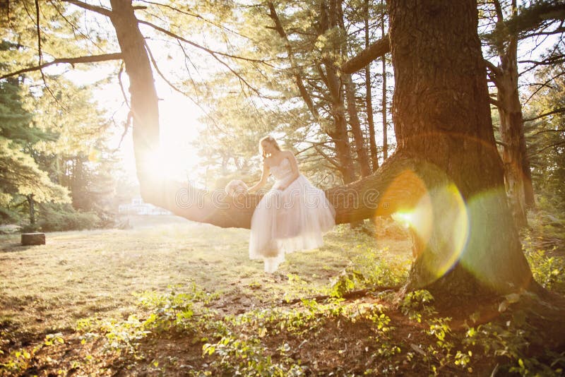 Bride sitting in a tree stock image. Image of green - 102051453