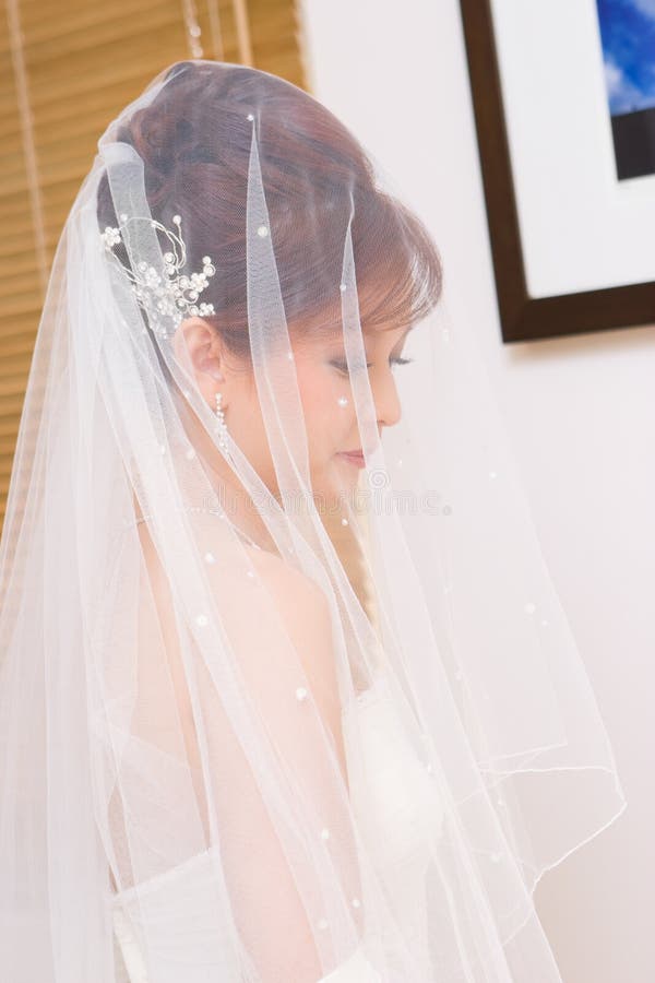 Bride hidden under veil stock photo. Image of wedding - 24426026