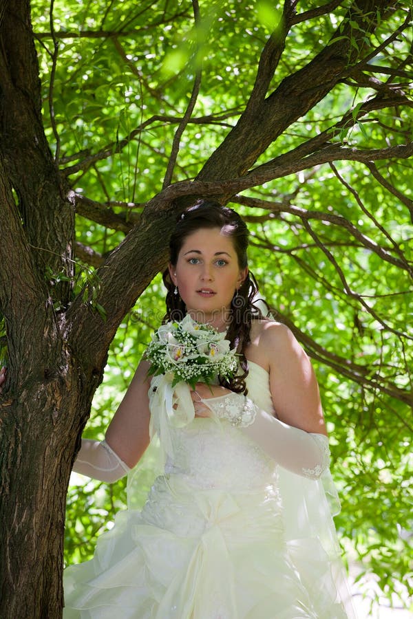 The bride at a tree stock photo. Image of traditional - 16998892
