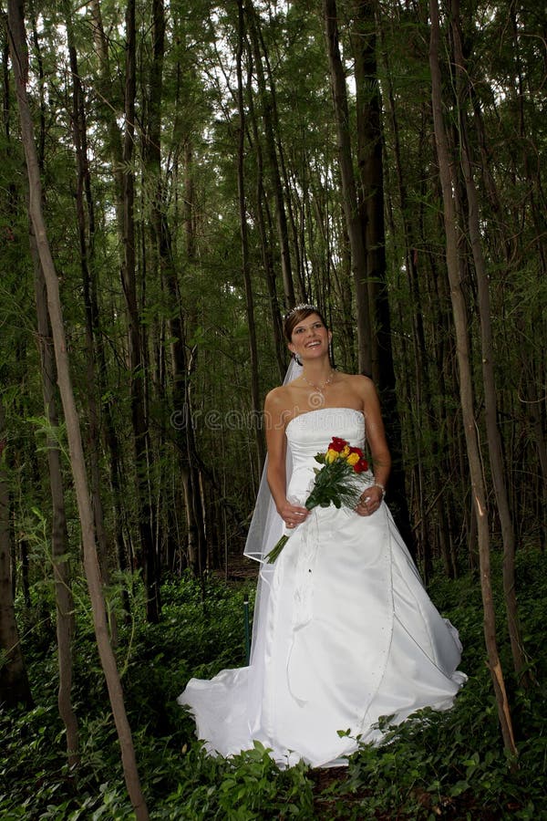 Bride Tree stock photo. Image of looking, holding, eyes - 4615850