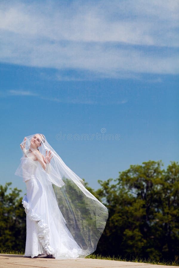 Light and Pure (bride Portrait) Stock Image - Image of green ...