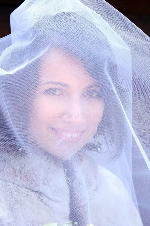 Bride in veil stock image. Image of love, portrait, smile - 12322805