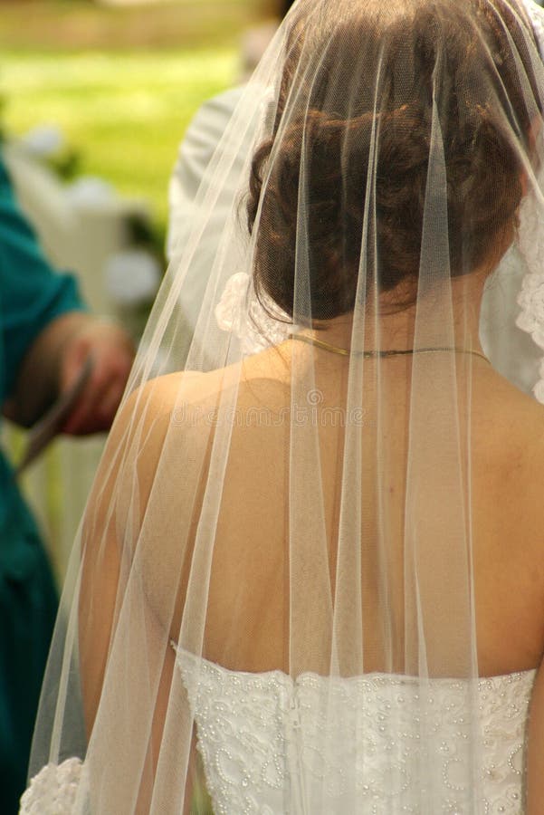 Bride and veil stock image. Image of bride, wedding, marry - 241167