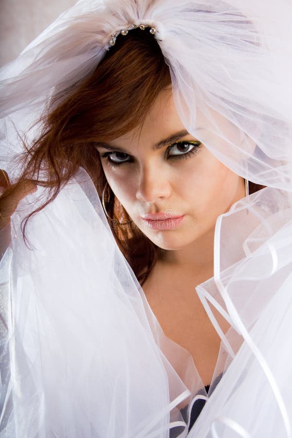 Bride with a veil stock photo. Image of veil, bride, pretty - 8228816